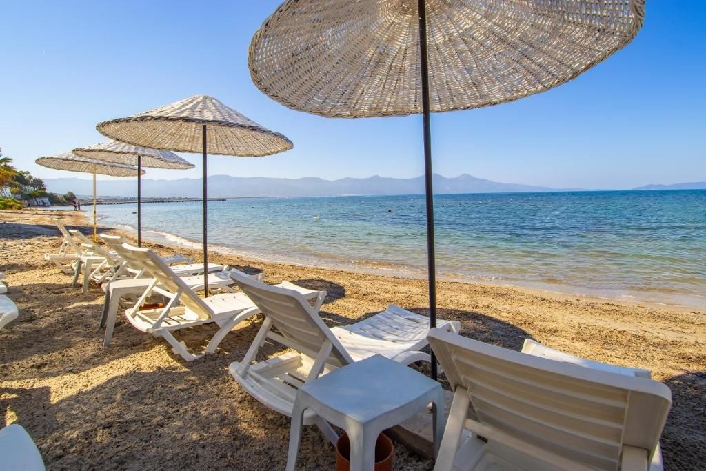 SCALA NUOVA BEACH HOTEL 4 * | Coral Travel (Türgi, Kusadasi)
