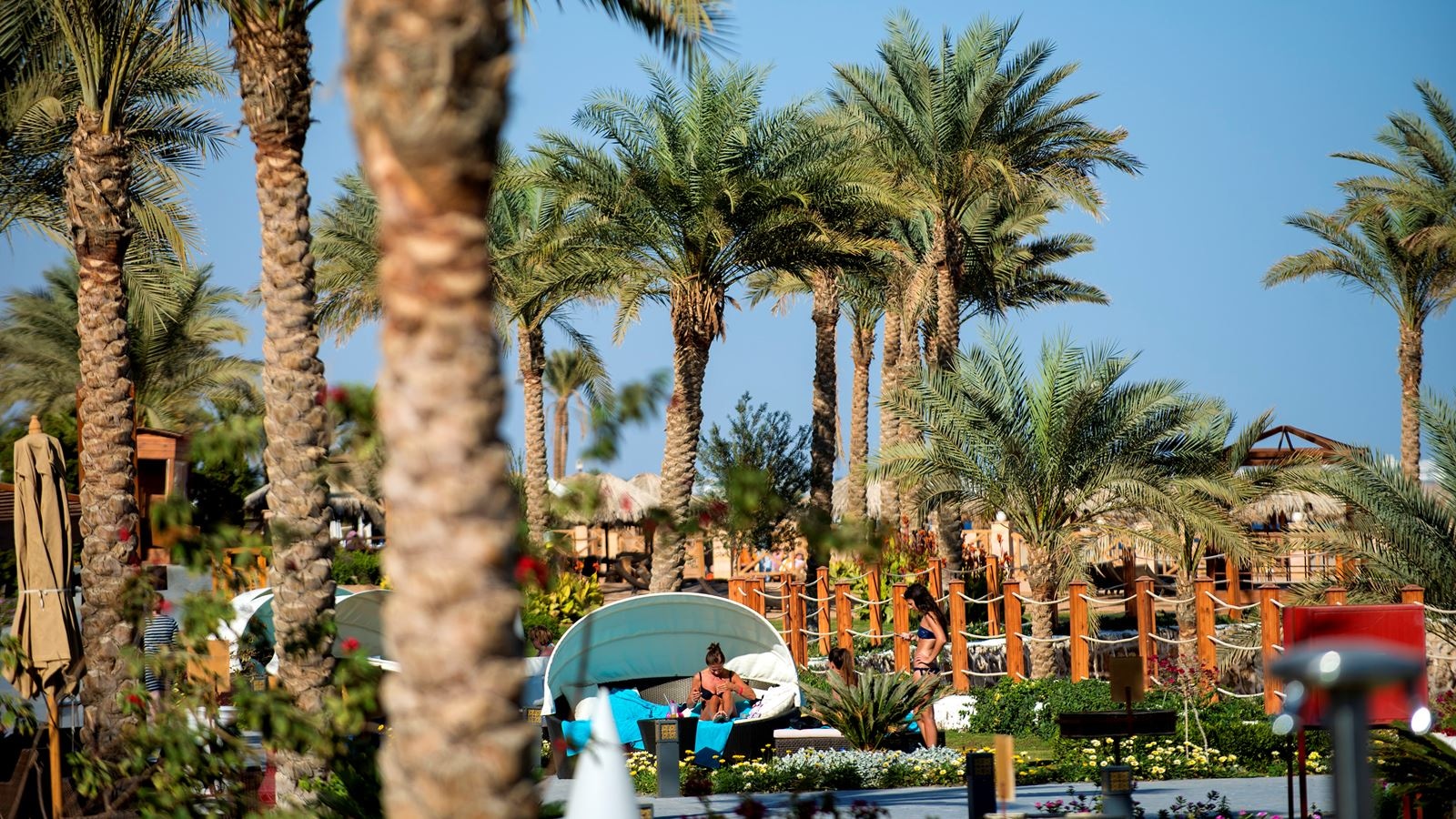 SUNRISE GRAND SELECT MONTEMARE RESORT 5 * | Coral Travel (Egiptus ...